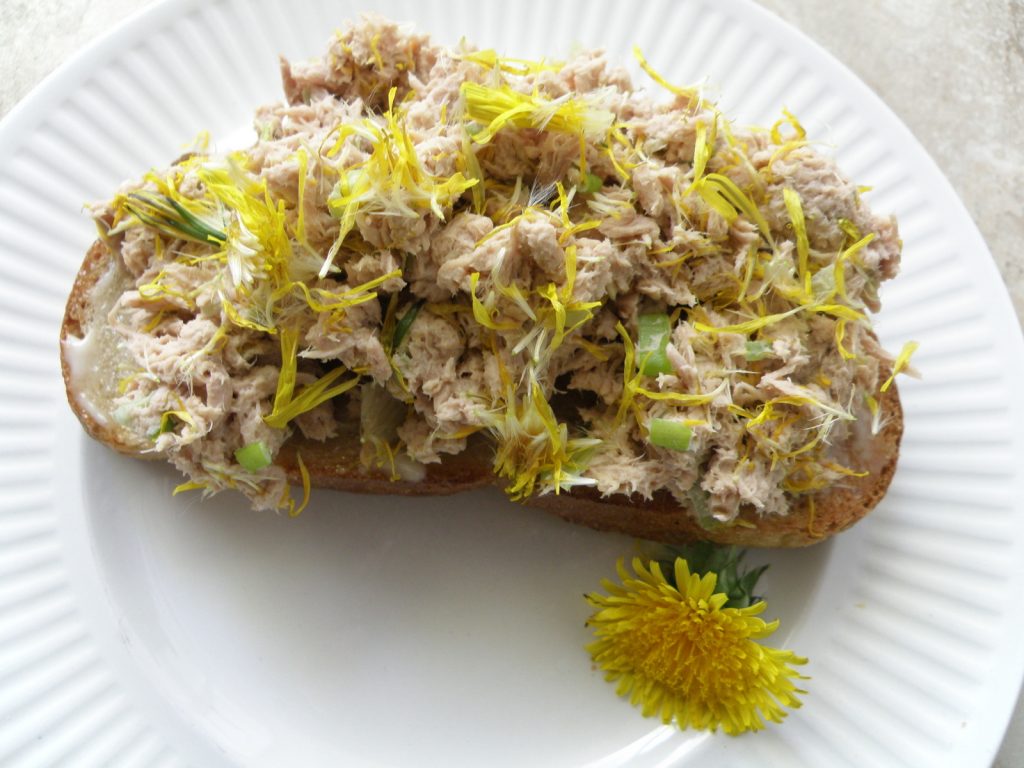 My Canadian Kitchen » Blog Archive » Dandelions For Lunch